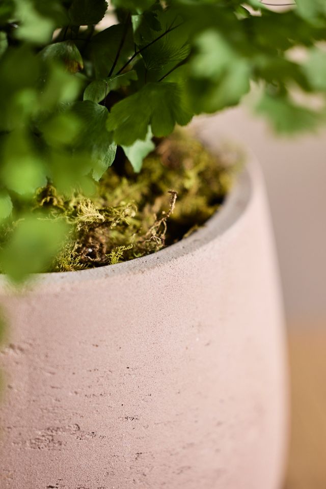 Footed Round Cement Planter | AnthroLiving