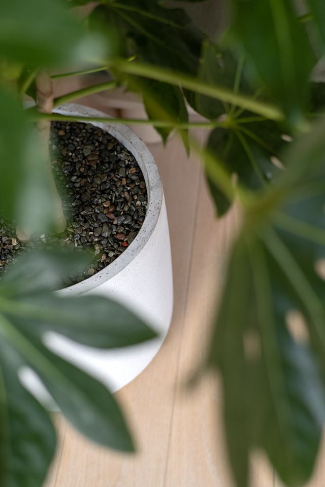 Fiber Angled Drop Planter | Terrain