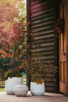 Planters | Flower Pots + Garden Planters | Terrain