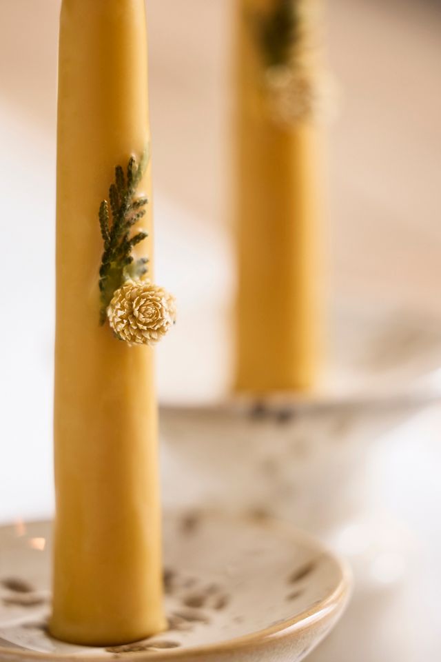 Dried Floral Taper Candles, Set of 2 | Terrain