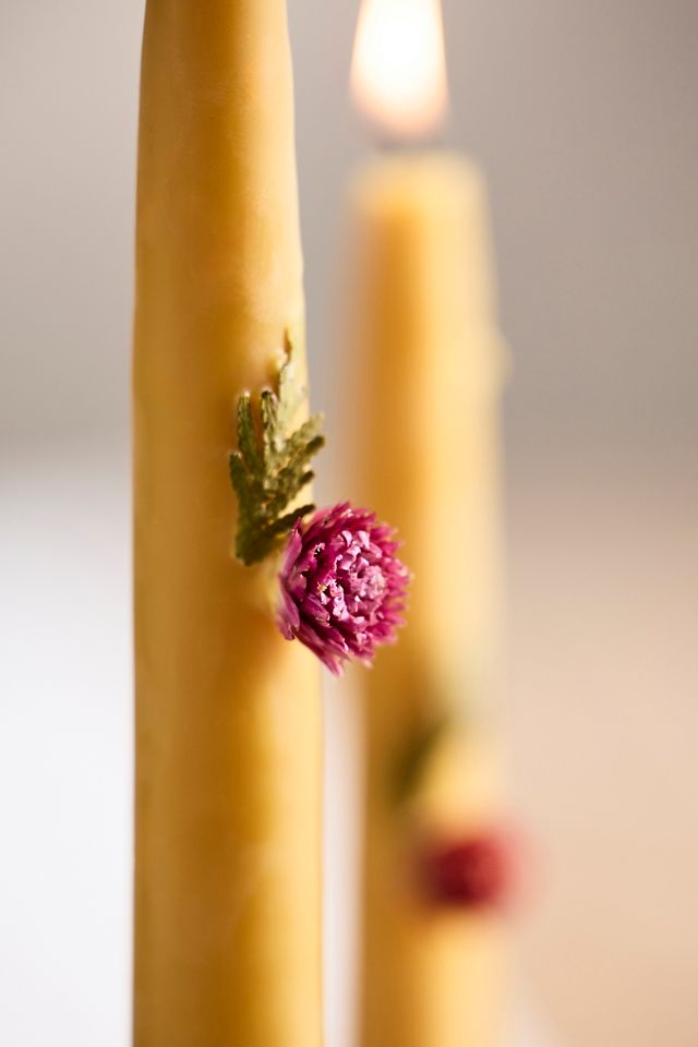 Dried Floral Taper Candles, Set of 2 | Terrain
