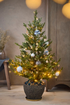 Christmas Trees: Faux Trees and Fresh Trees + Topiaries | Terrain