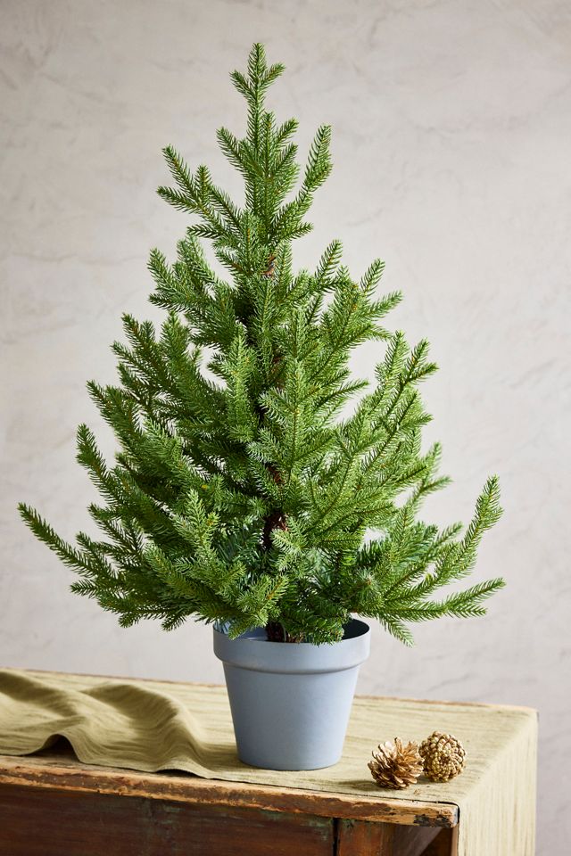 Faux Potted Norway Spruce Tree, 2.5’ | Terrain