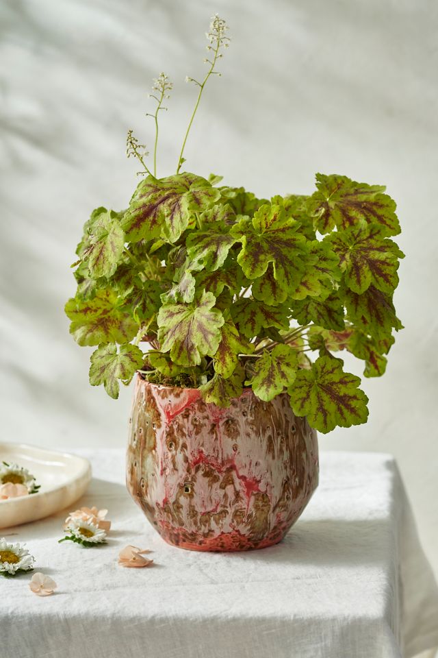 Harris Glazed Terracotta Pot | AnthroHome