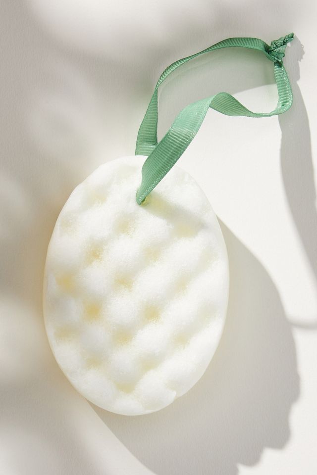 Studio Oh! Soap Sponge | Anthropologie