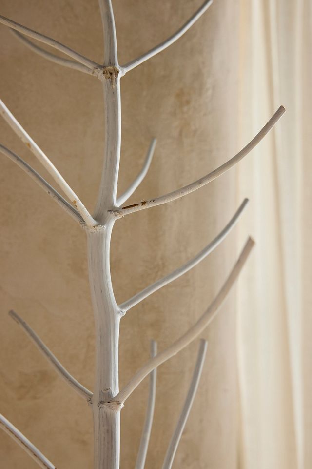 Dried White Ferula Branch | AnthroLiving