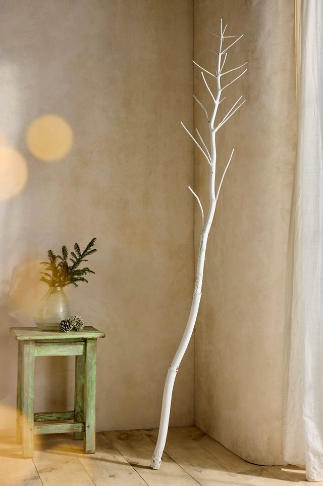 Dried White Ferula Branch | Anthropologie
