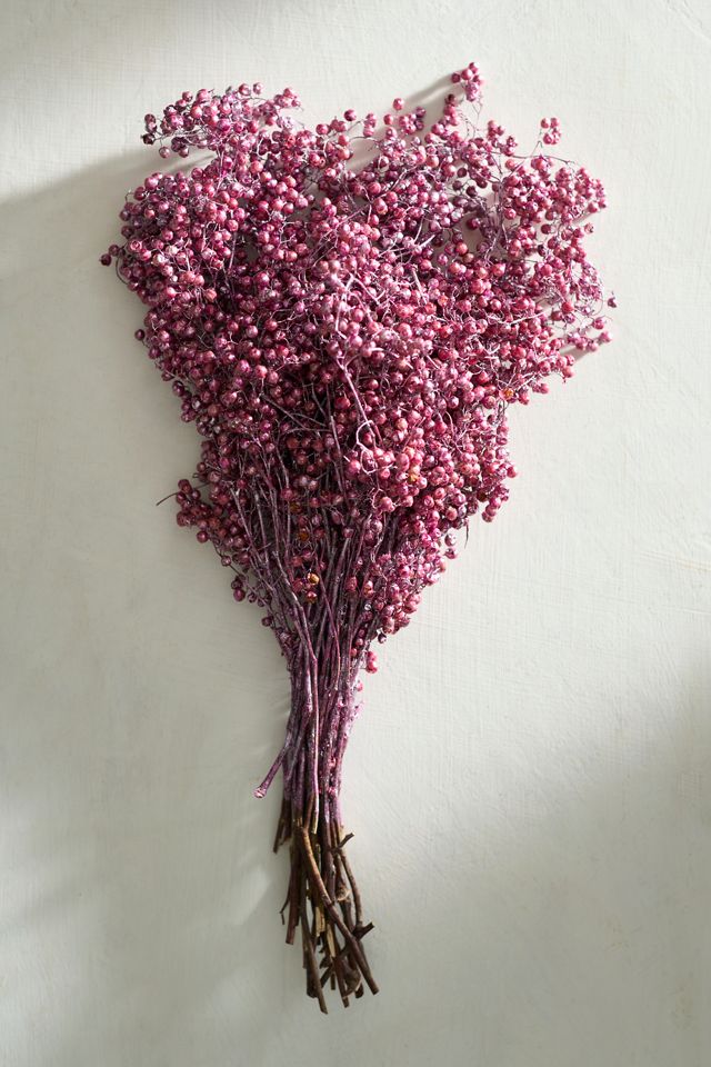 Dried Metallic Pepperberry Bunch | AnthroLiving