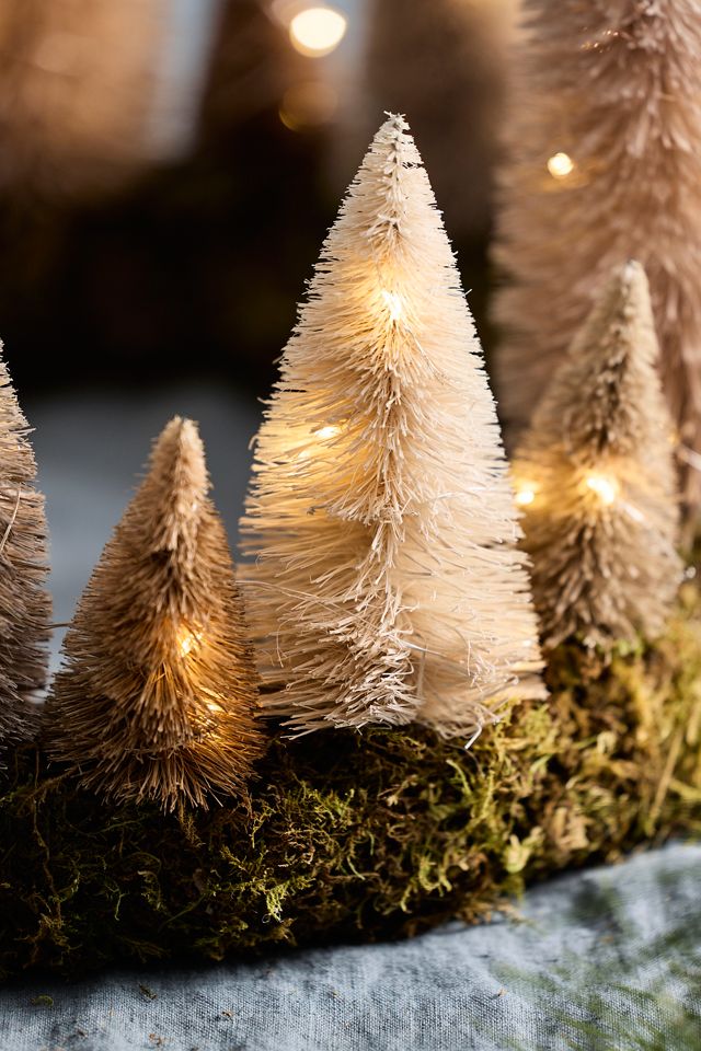 LED Mossy Brush Tree Ring Centerpiece | AnthroLiving