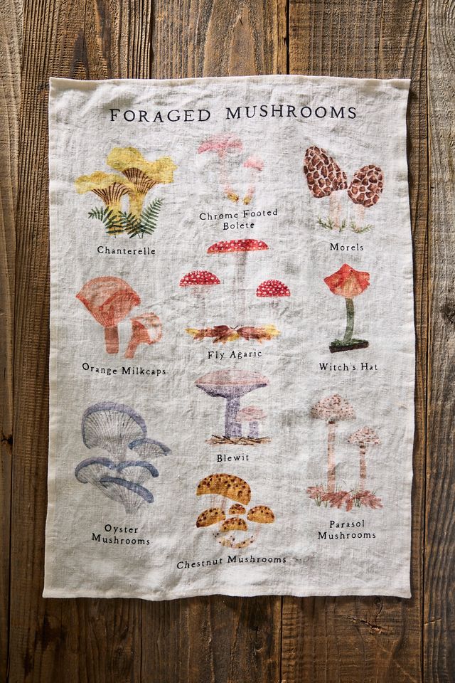 May We Fly Mushroom Forager Dish Towel | Terrain
