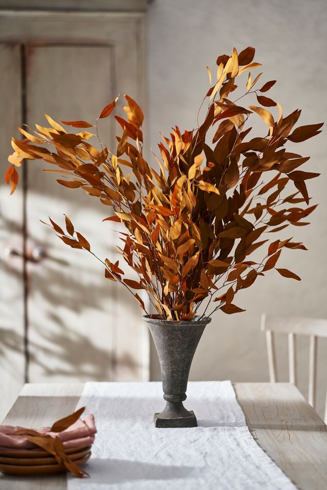 Preserved + Tinted Willow Eucalyptus Bunch | Anthropologie
