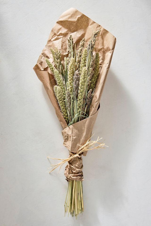 Preserved Millet Bunch | Terrain