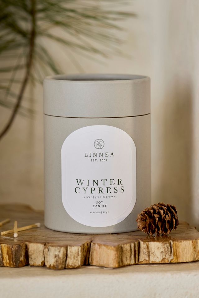 Linnea Candle, Winter Cypress | AnthroLiving