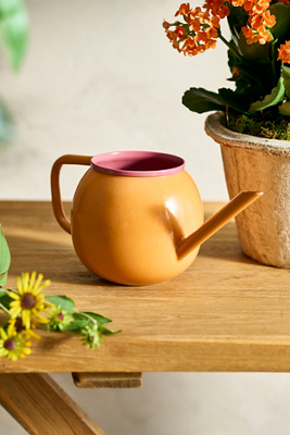 Colorful Enamel Watering Can, Harvest | AnthroLiving
