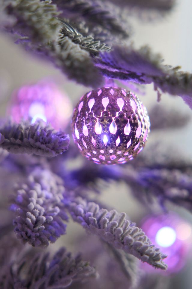 Stargazer Color-Changing Arabesque String Lights | Terrain