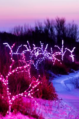 Holiday Lighting | String Lights, Lanterns + LED Lighting | Terrain