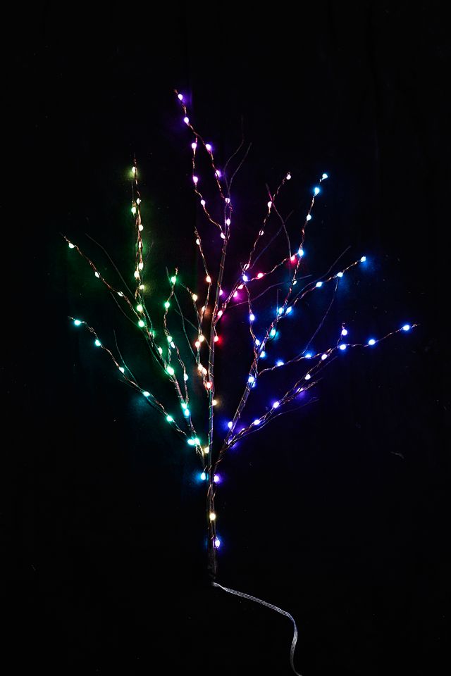Stargazer Color-Changing Twig Lights | AnthroLiving