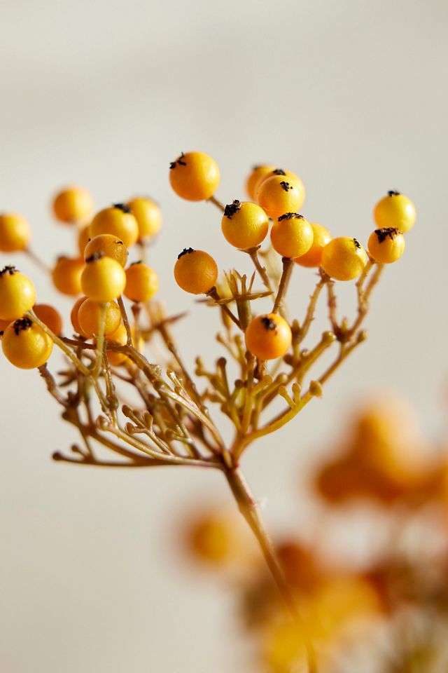 Faux Yellow Berry Spray | Terrain