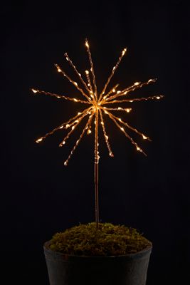 Outdoor Lighting | String Lights, Lanterns + Pathway Lighting | Terrain