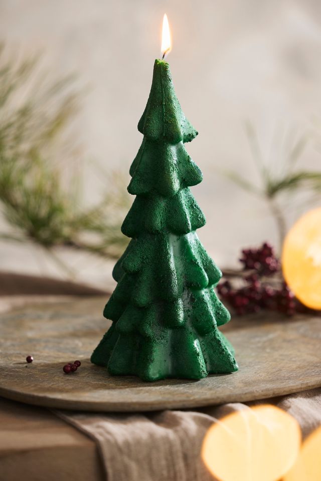 Evergreen Tree Candle | Terrain