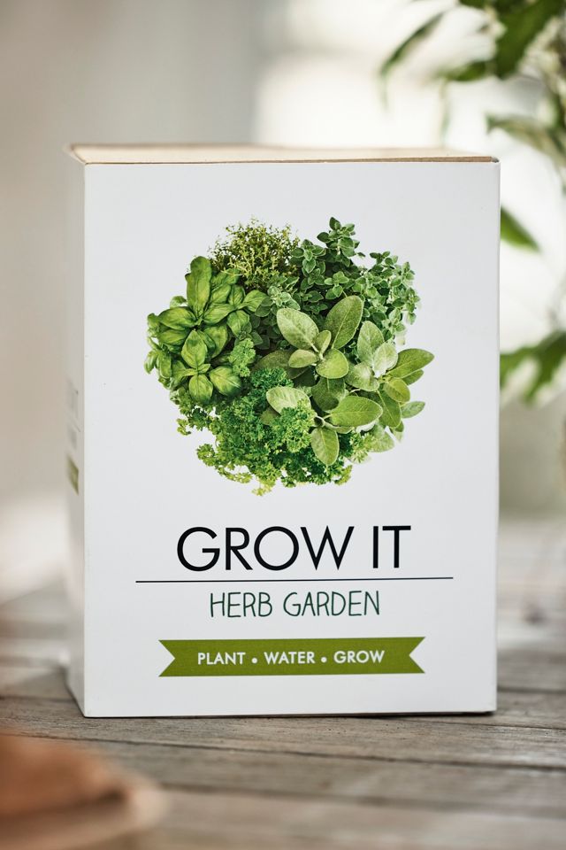 Herb Garden Grow Kit | Terrain