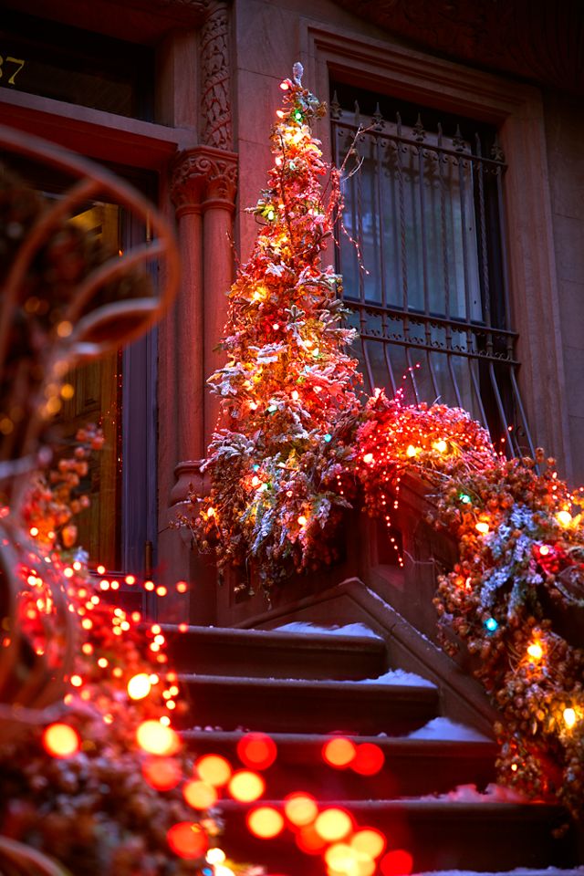 Stargazer Garden Lights, Set of 21 Bulbs, Yesteryear Candle Edition ...