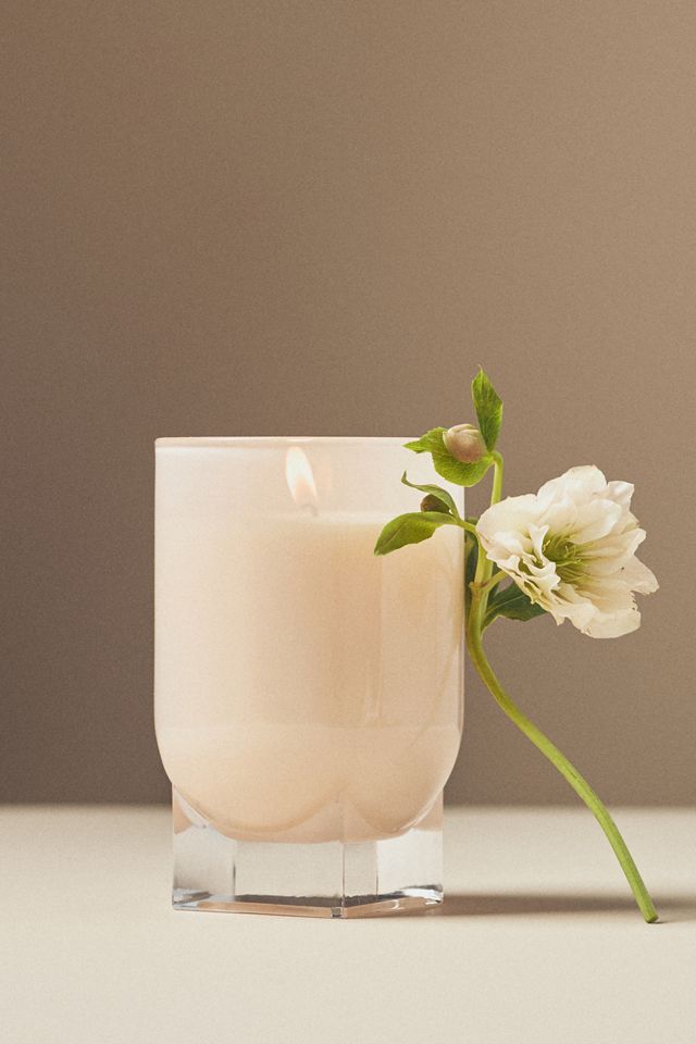 Found Notes Gourmand Vanilla & Dark Plum Large Glass Candle | AnthroLiving