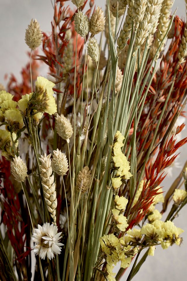 Dried Dutch Mix Bouquet, Extra Large | Terrain