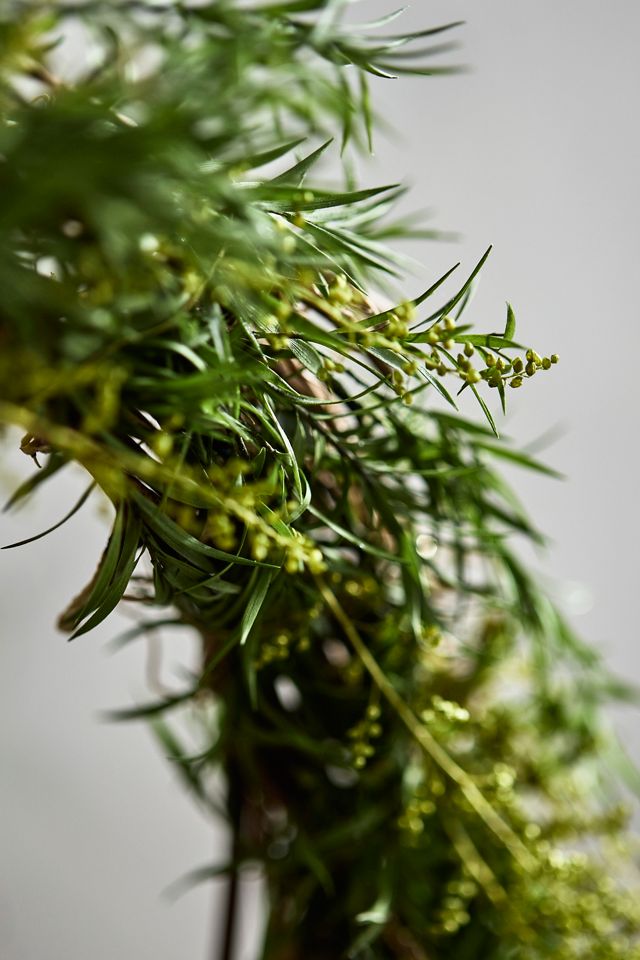 Dried Tea Tree Wreath | Terrain