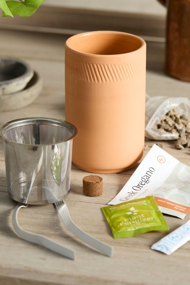 Greek Oregano Self-Watering Grow Kit | AnthroHome
