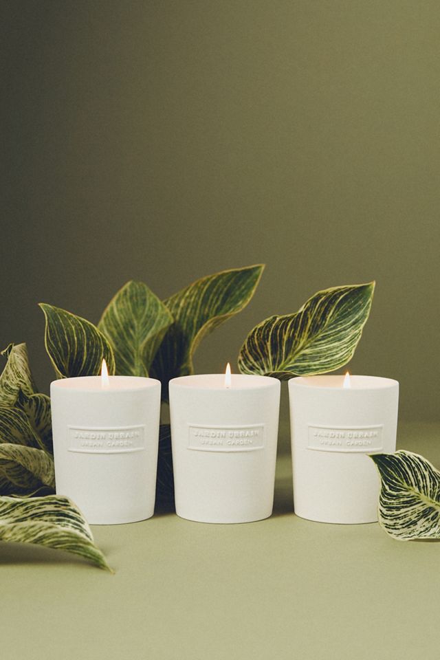 Les Citadines Urban Garden Solaris Boxed Candle | AnthroLiving