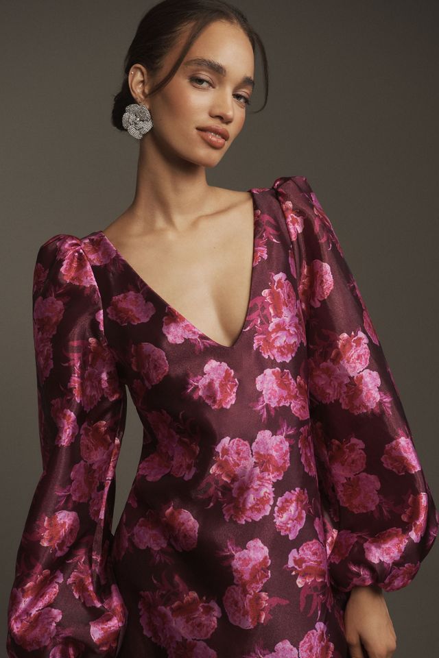 Bhldn Aliana Long Sleeve V Neck Floral Organza Mini Dress Anthropologie