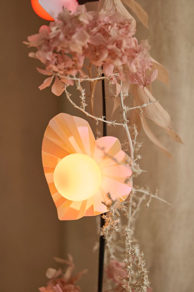 Stargazer Garden Lights, Set of 21 Bulbs, Rose Garden | Terrain