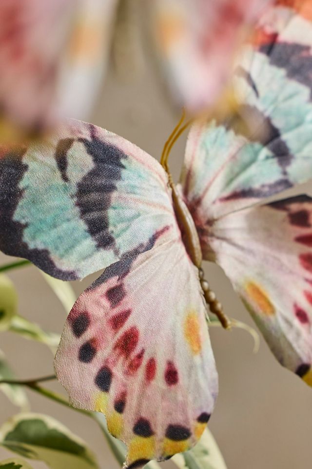 Butterfly Stem | Terrain