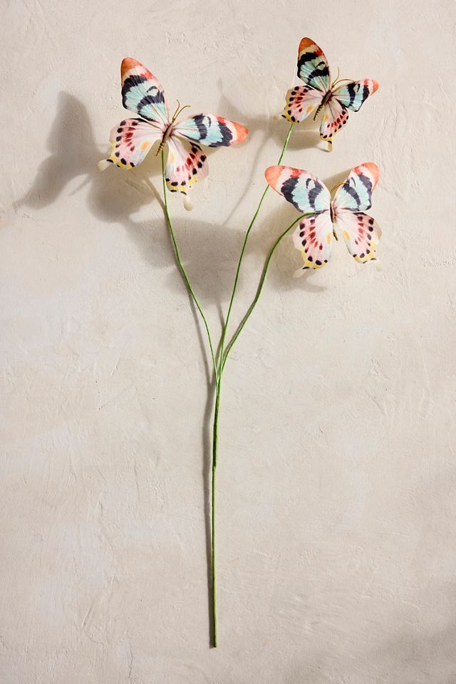 Butterfly Stem | Terrain