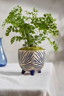 Angled Leg Ceramic Planter | AnthroHome