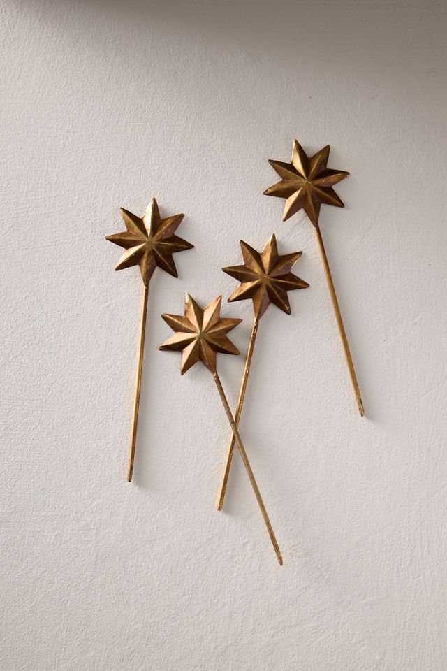 Starburst Iron Stakes, Set of 4 | AnthroLiving