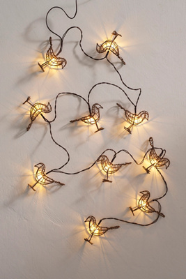 Solar Robin Lights | Terrain