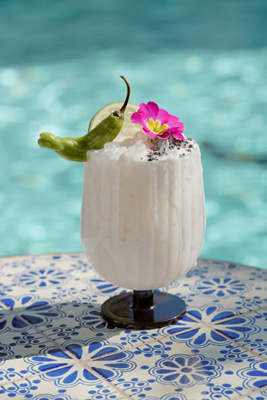 The Raquel Scallop Acrylic Drinkware Collection | Anthropologie