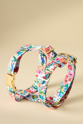 Rifle Paper Co. x The Foggy Dog Garden Party Dog Harness | AnthroLiving