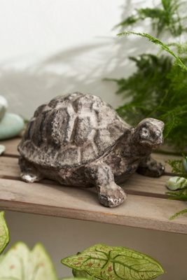 Cast Iron Turtle | AnthroHome