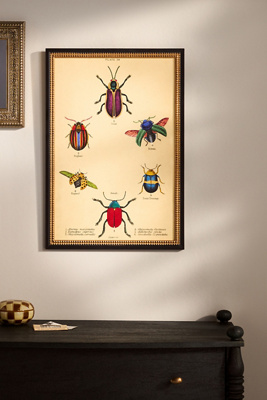 Bugs Wall Art | AnthroHome