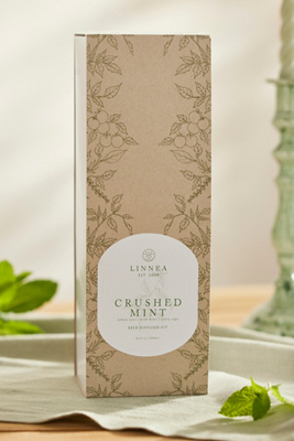Linnea Diffuser, Crushed Mint | AnthroHome