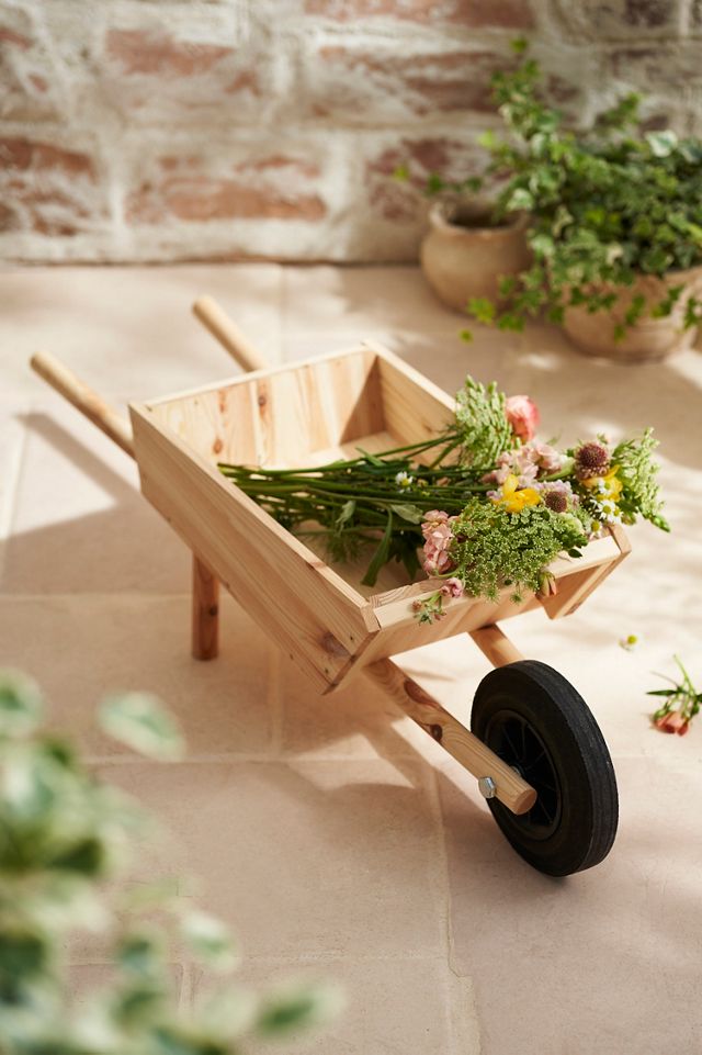 DIY Mini Wheelbarrow Kit | Anthropologie