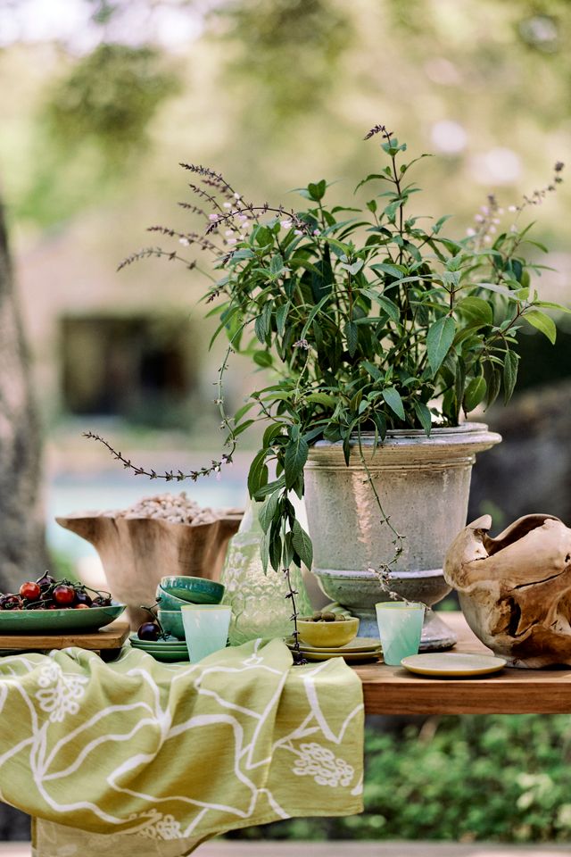 Botanical Linework Runner | Terrain