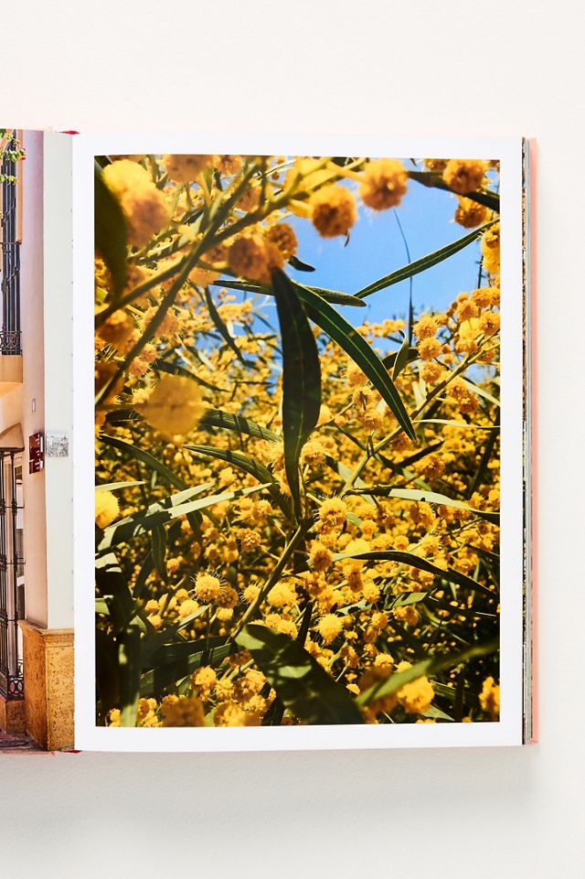 Marbella Sol Hardcover Coffee Table Travel Book | Anthropologie