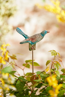 Bluebird Iron Stake | Terrain