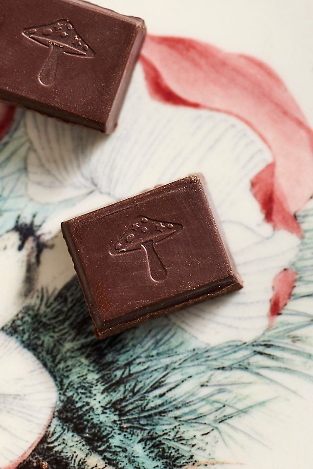 Alice Brainstorm Mushroom Chocolate | Anthropologie Alice Brainstorm Mushroom Chocolate | Anthropologie