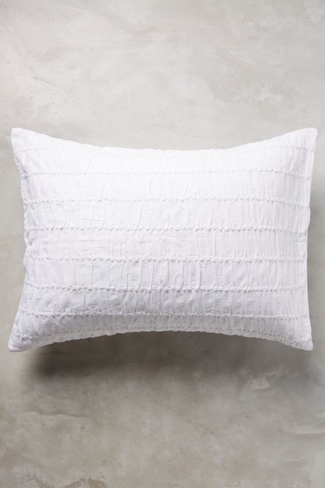 Marcellina Shams | AnthroLiving