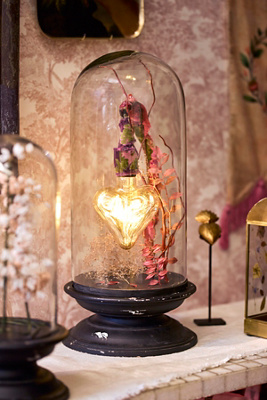 Heart Bulb in Cloche Bundle | Terrain